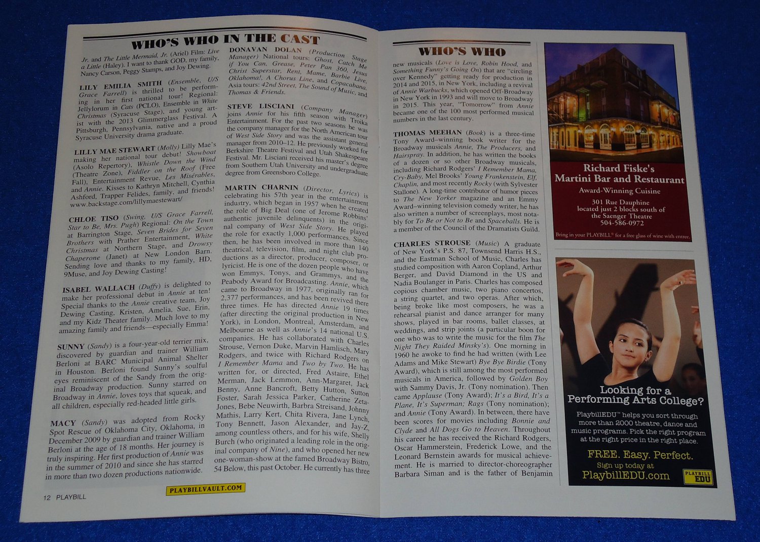 ANNIE PLAYBILL MUSICAL HAROLD GRAY STROUSE CHARNIN MEEHAN TONY AWARD WINNER