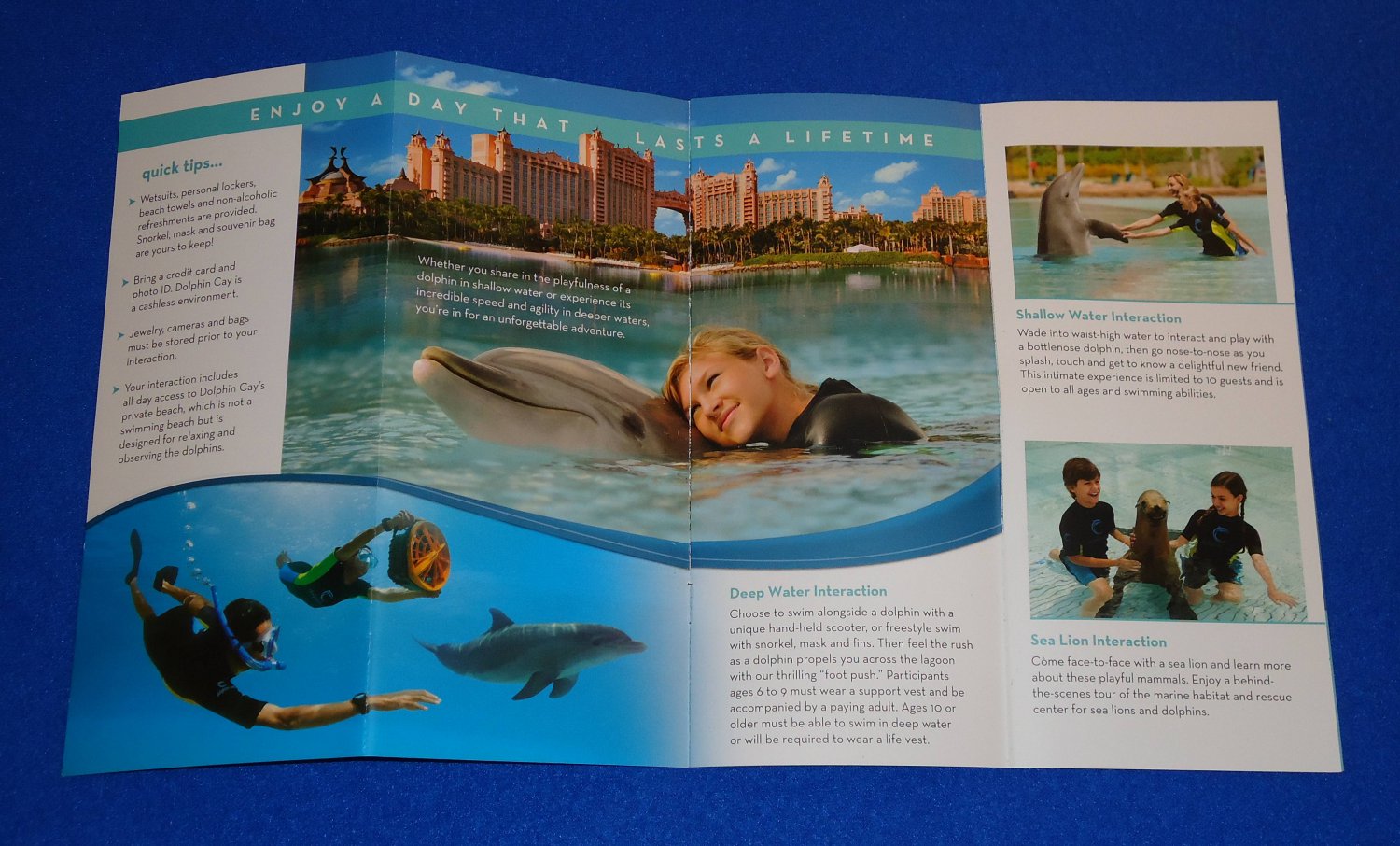 ***BRAND NEW*** ATLANTIS WATER PARK DOLPHIN CAY BROCHURE NASSAU BAHAMAS ...