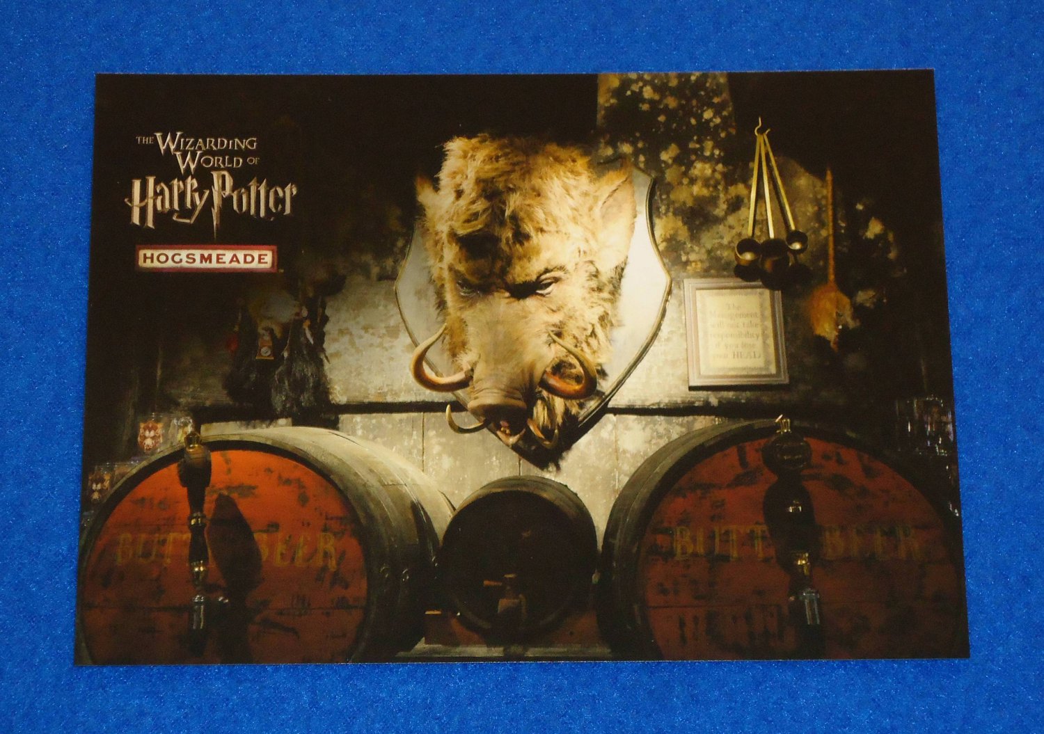 *BRAND NEW* HARRY POTTER HOG'S HEAD POSTCARD UNIVERSAL STUDIOS *OWL ...