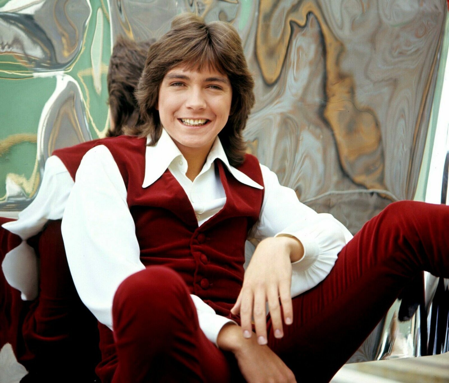 THE PARTRIDGE FAMILY - DAVID CASSIDY 11x14 Photo