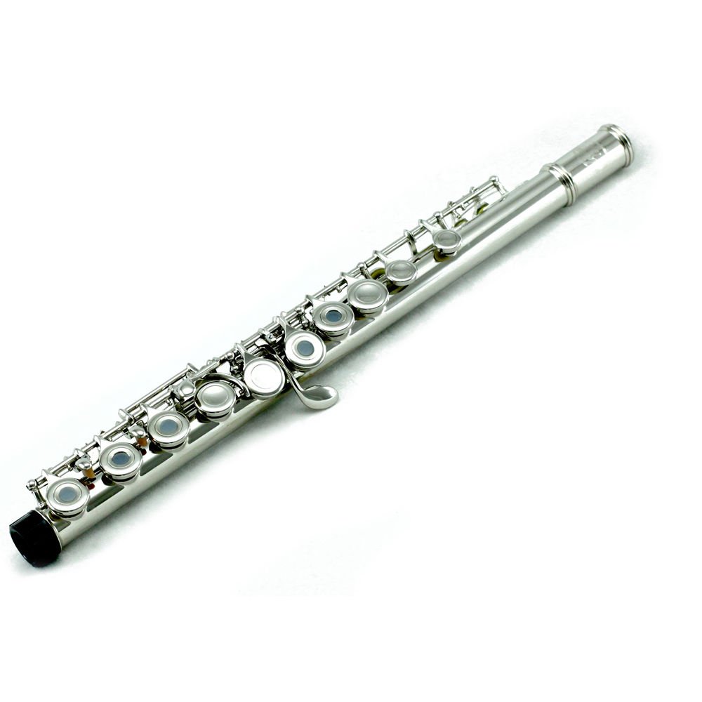 BRAND NEW 2016 Nickel Plated C FOOT Flute w Straight & Curved Headjoints