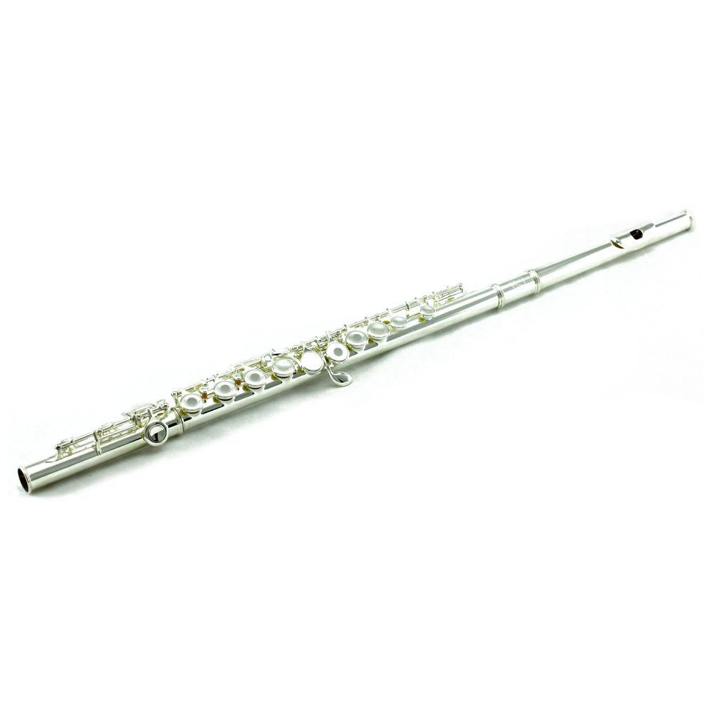 SKY Brand New Band Approved Open Hole Silver C FOOT Flute w Case ...