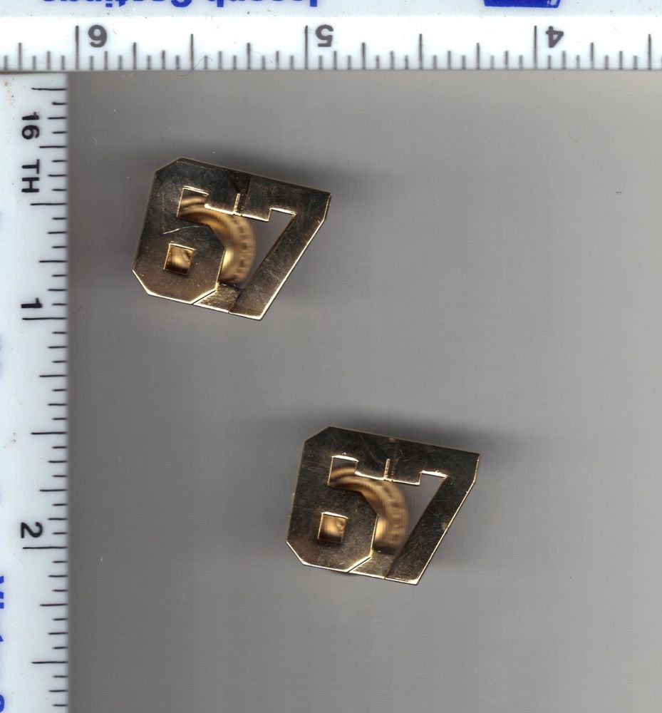 67th Precinct Collar Brass (Brooklyn) as per the NYPD-Patrol-Guide