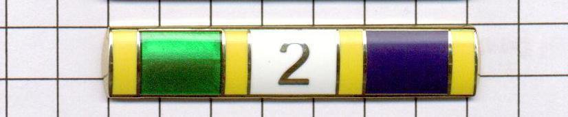 Meritorious Police Duty Citation Bar won twice "MPD-2" per the NYPD ...
