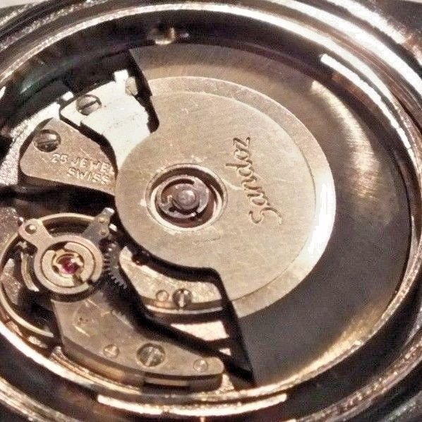 Vintage Sandoz Polemaster Automatic Watch Pan Pie Style Dial Cal. 90-5 ...
