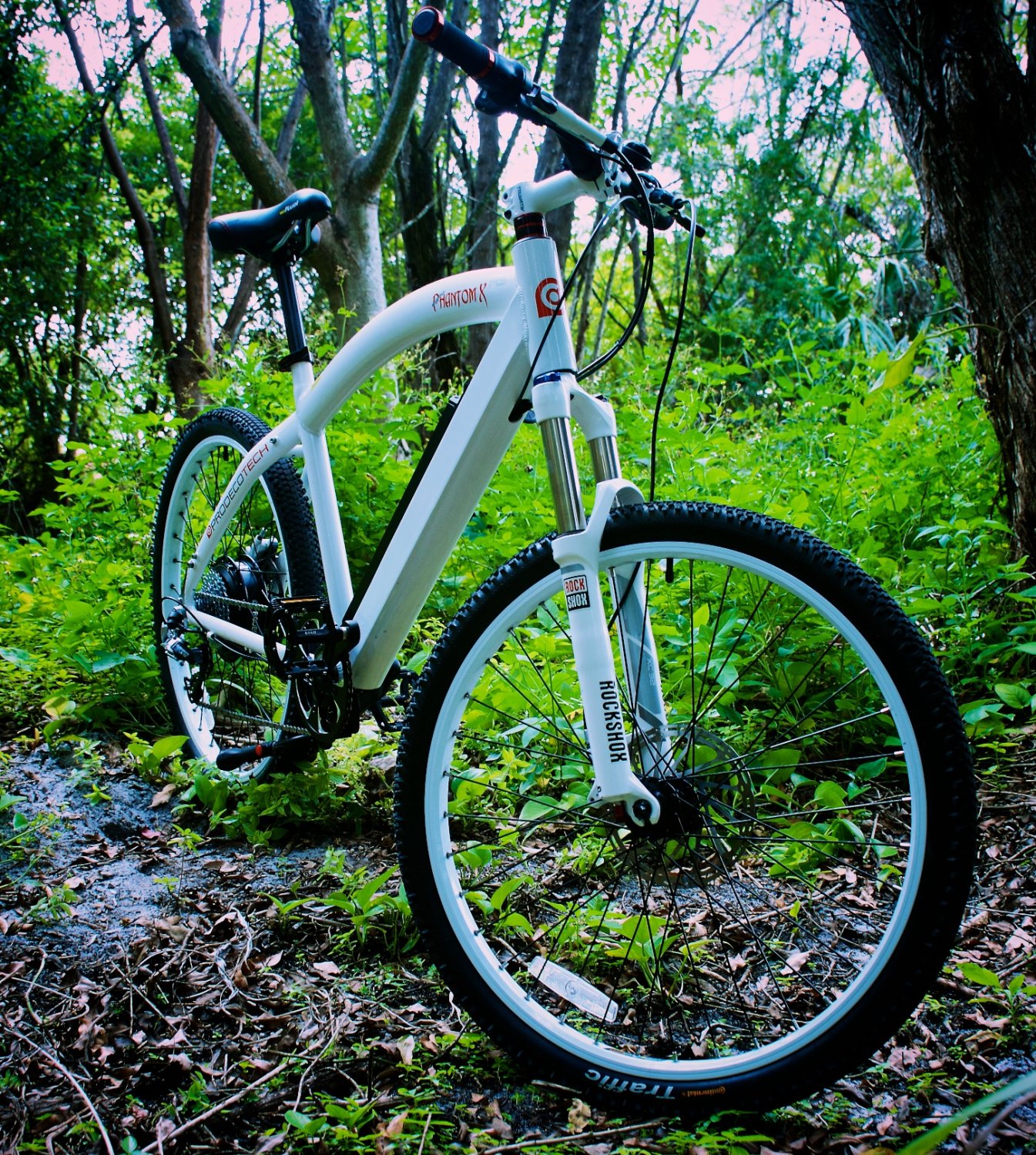 Prodeco Phantom XRS E-bike V5 600 Watt Geared Motor