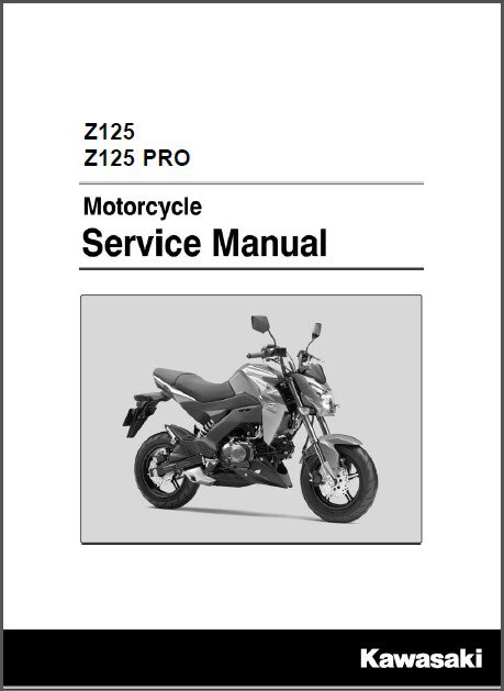 2016-2017 Kawasaki Z125 / Z 125 Pro Service Manual on a CD