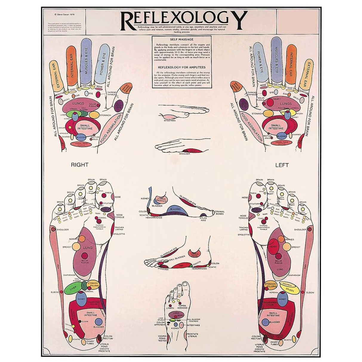 Reflexology Foot and Hand reference chart - Laminated