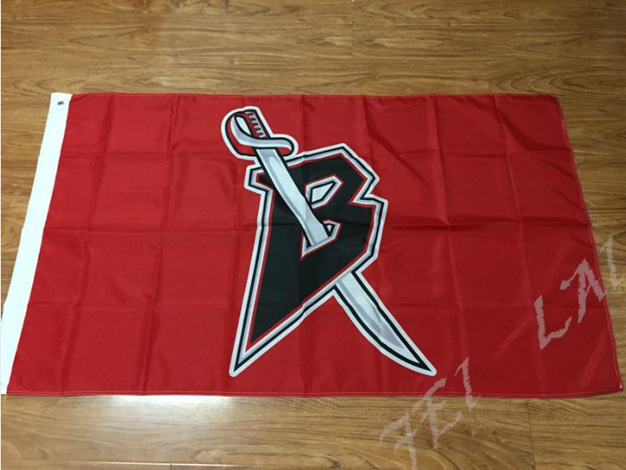 Buffalo Sabres Flag 3ftx5ft Banner 100D Polyester NHL Flag style 1