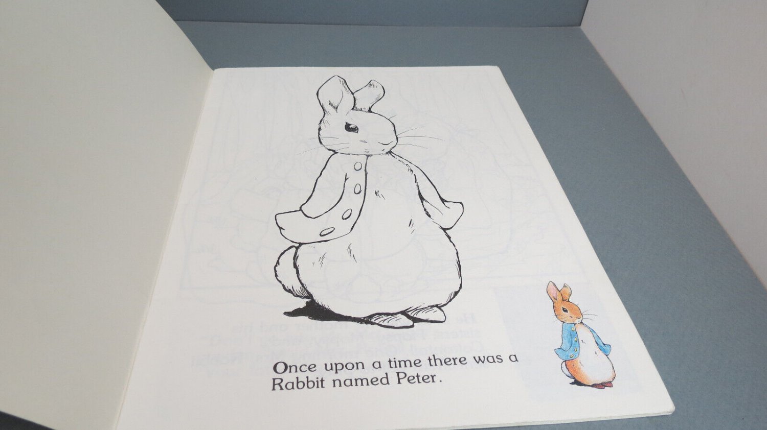Vintage Peter Rabbit A Beatrix Potter Story to Color Ladybird Books 1988