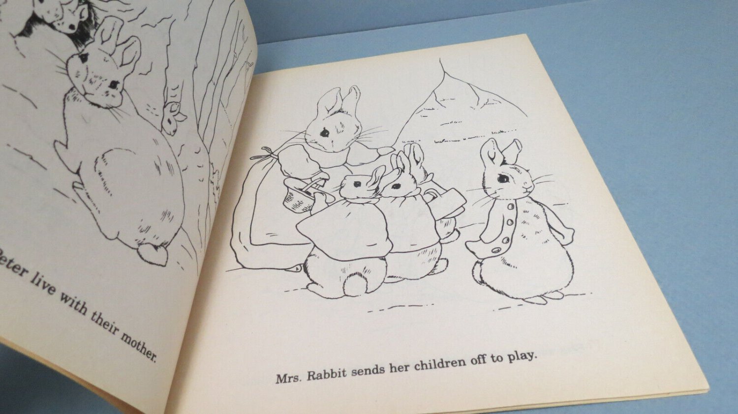 Vintage Coloring Fun with Peter Rabbit and Benjamin Bunny 1993 Landoll's
