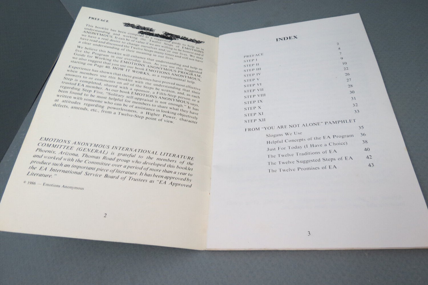 Step by Step Pamphlet Guide for Emotions Anonymous 1986 Green Cover ...