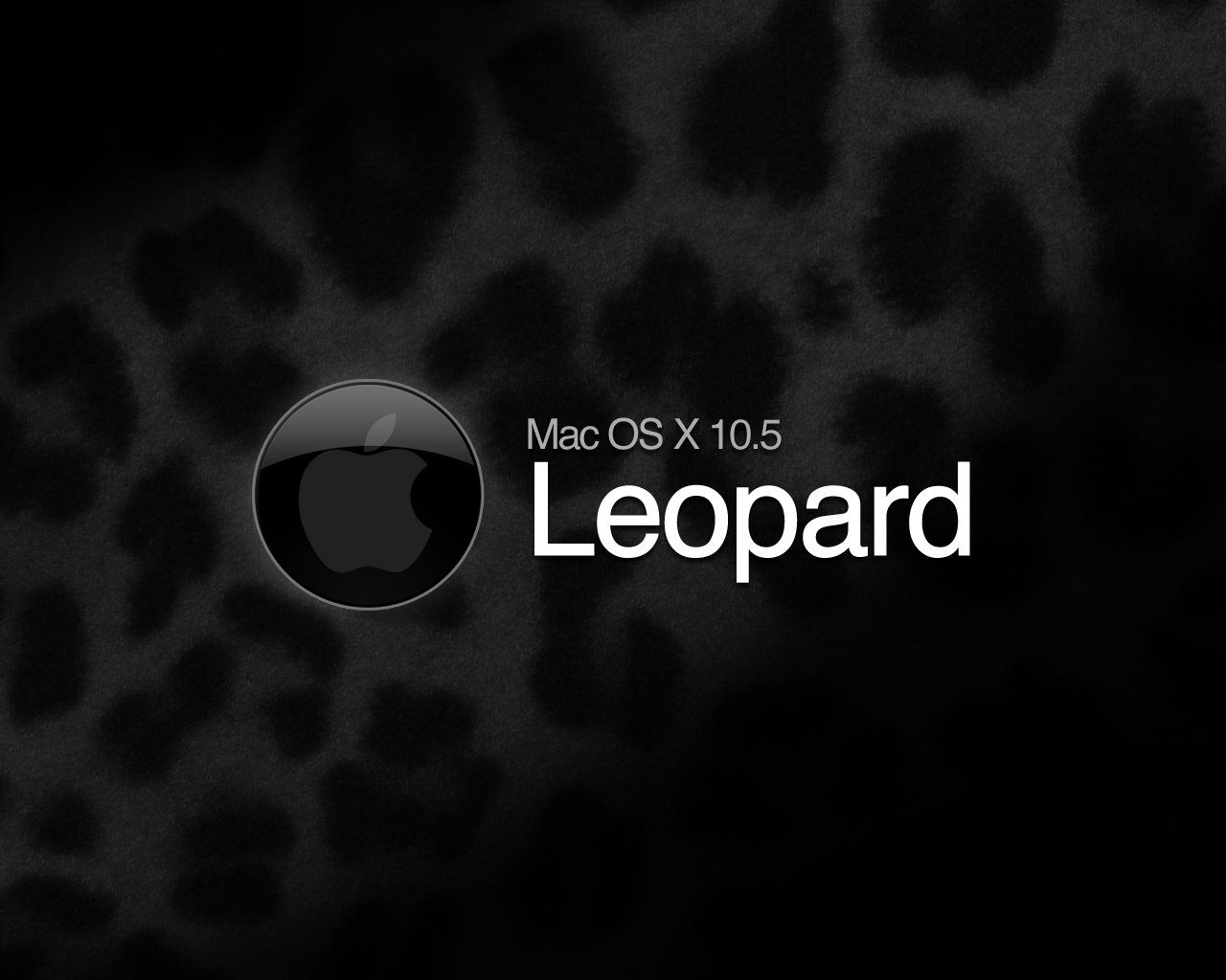 macOS 10.5 Leopard installation USB flash drive