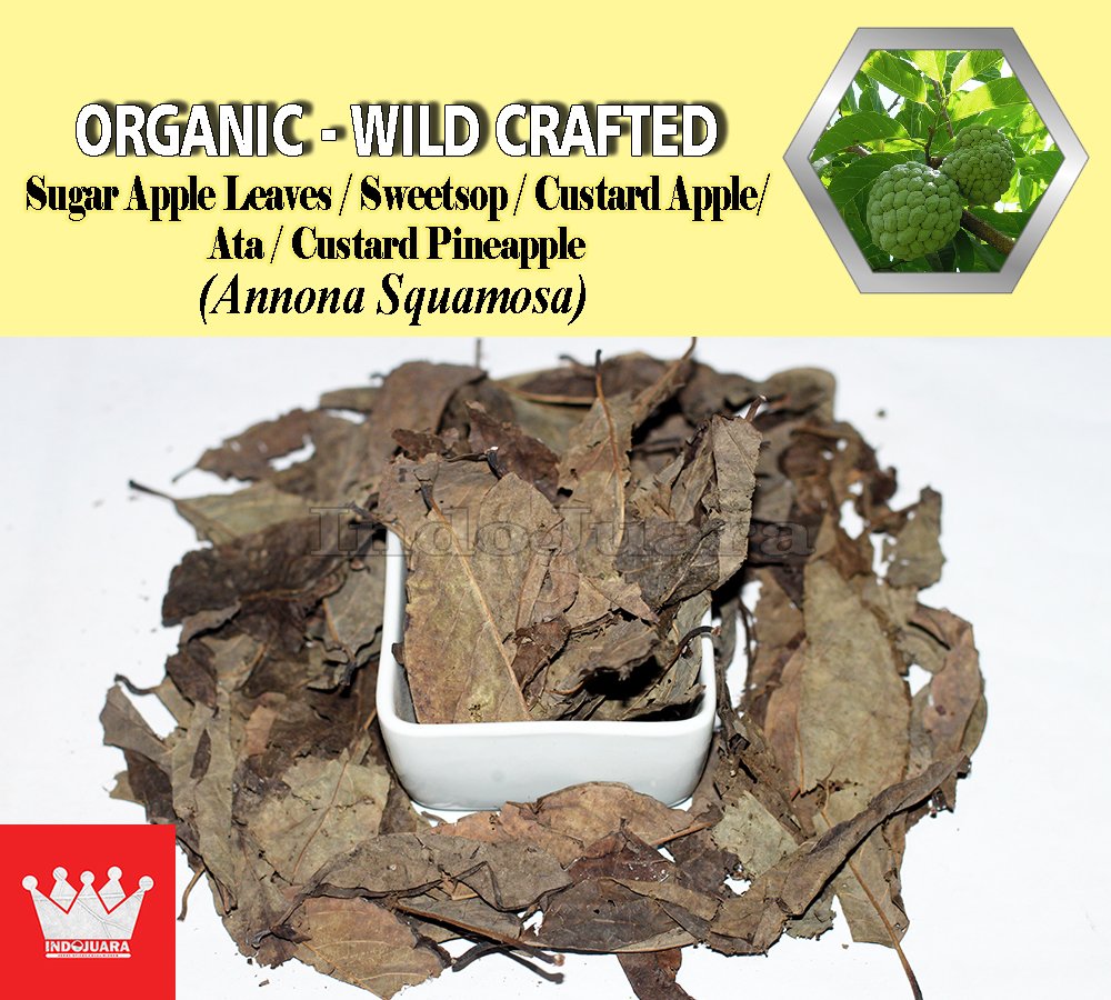 3 Oz / 84g Sugar Apple Leaves Sweetsop Custard Apple Ata Annona ...