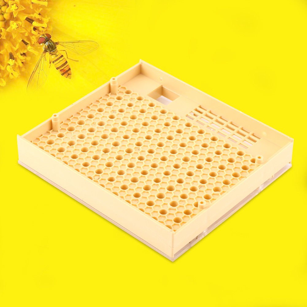 New Queen Rearing Cupkit Box Case Complete System Beekeeping Raise Bee ...