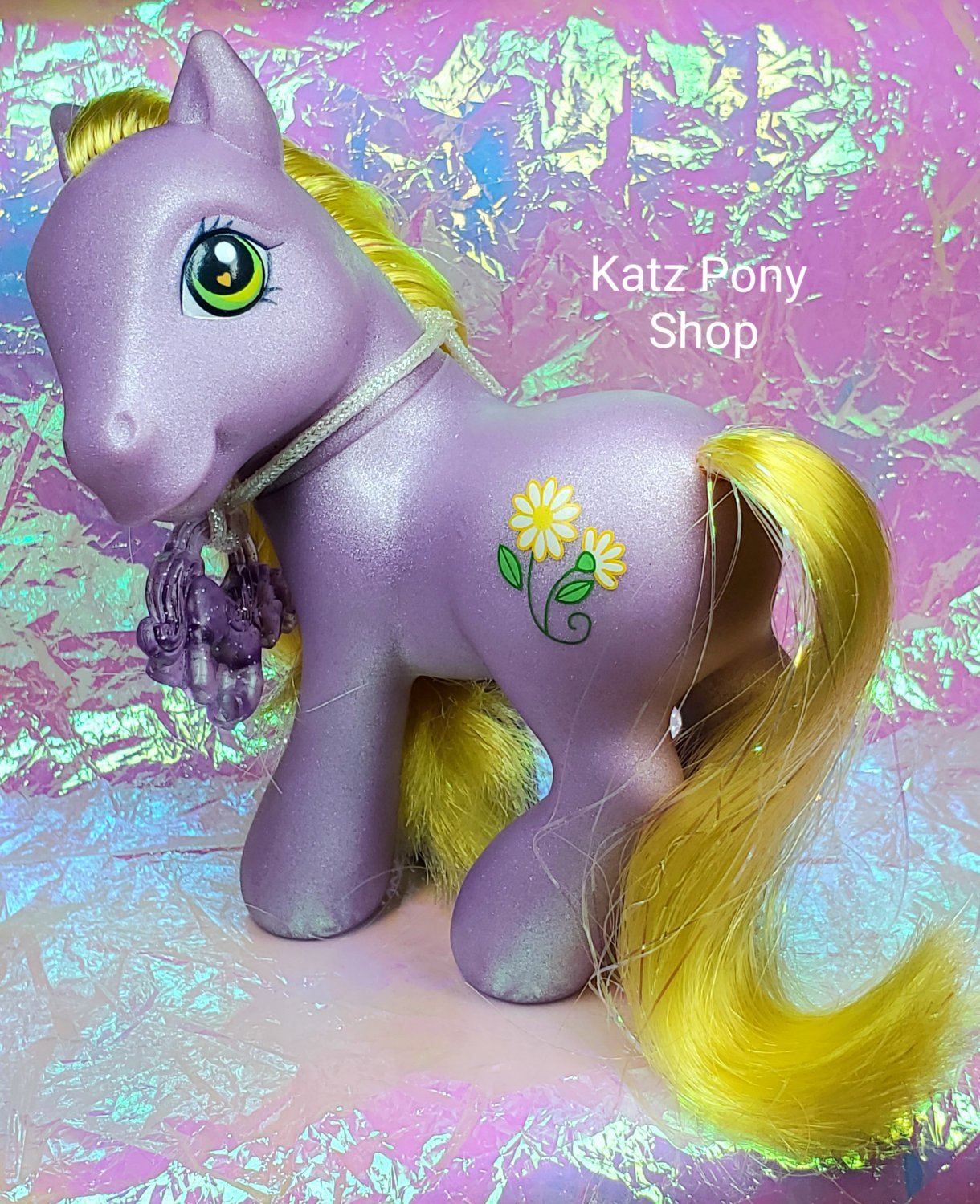 G3 My Little Pony Daisy Jo with Charm! #1