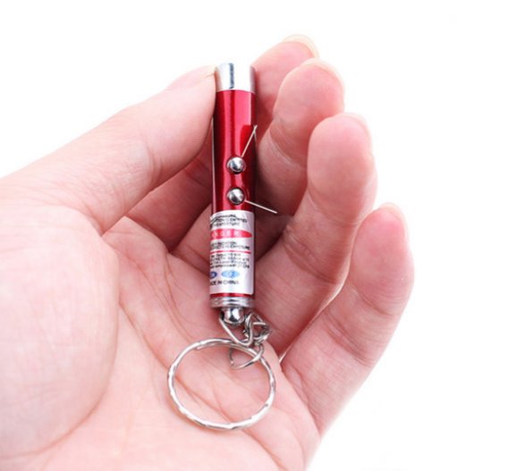2 In 1 Red Laser Funny Cat Stick Laser Pointer Pen with White LED Light