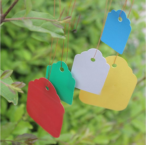 100Pcs/lot Plants Hang Tag Labels Seedling Garden Flower Pot Plastic ...