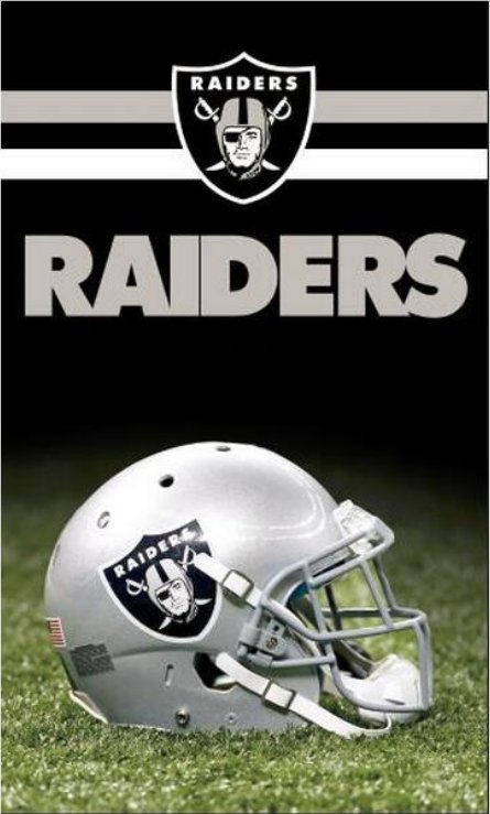 Oakland Raiders one nation flag 90x150cm polyester banner (STE)