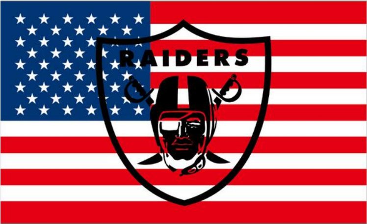 Raiders flags 3x5ft oil painting style flag with 2 Metal Grommets (STC)