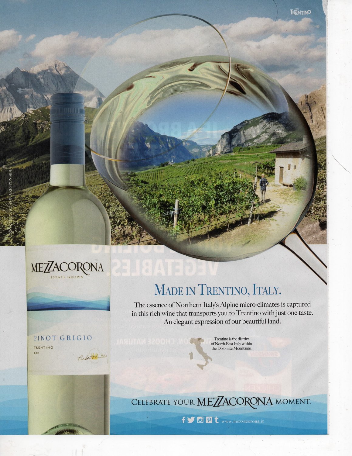 Mezzacorona Wine Magazine Print Ad December 2017