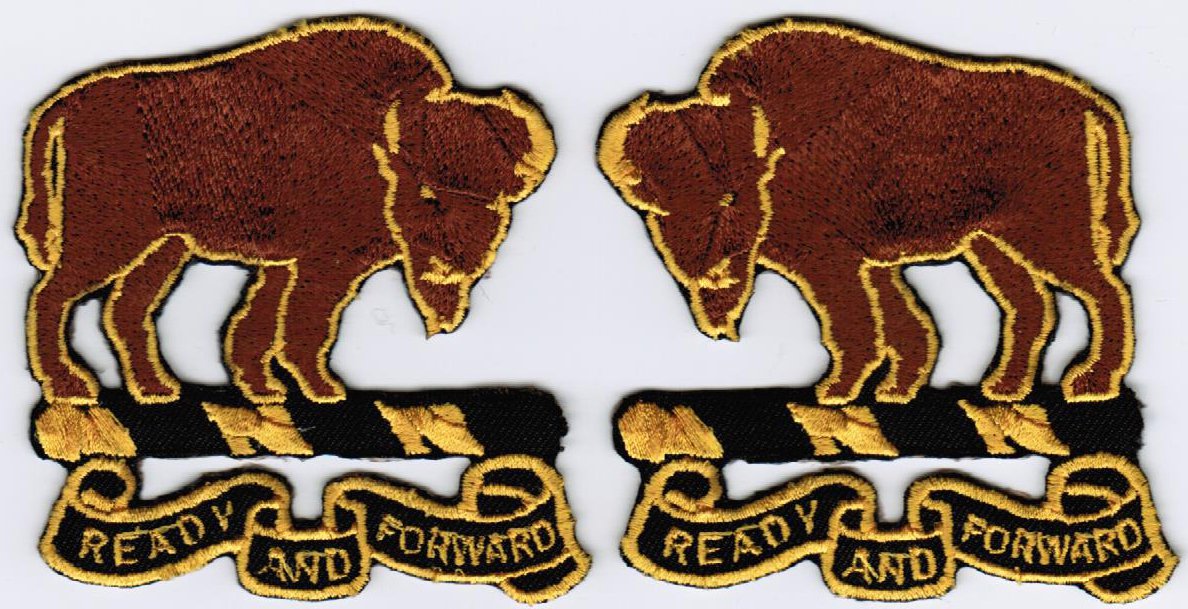 10th Cavalry Regiment Buffalo Soldier Insignia US Army Badge Iron On ...