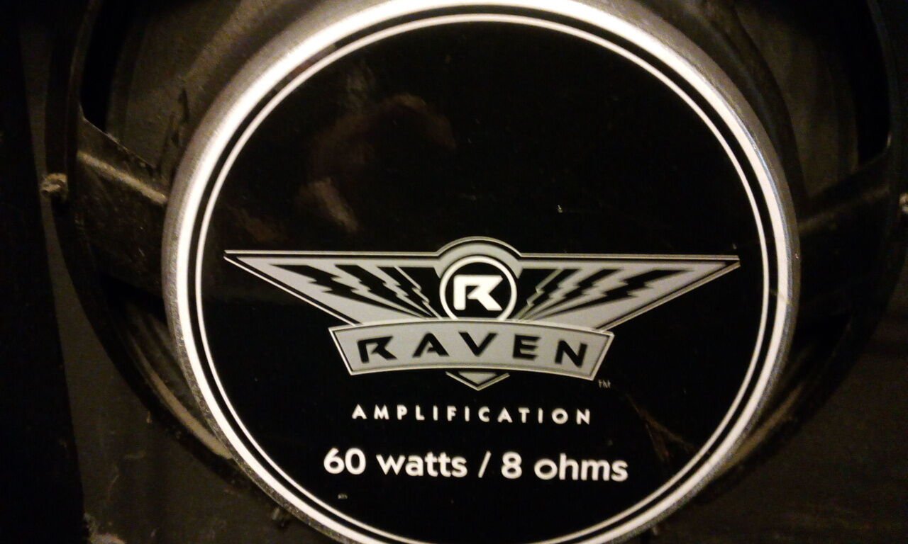 RAVEN RG100 WATT GUITAR AMPLIFIER.Pre-owned. Local pickup only.