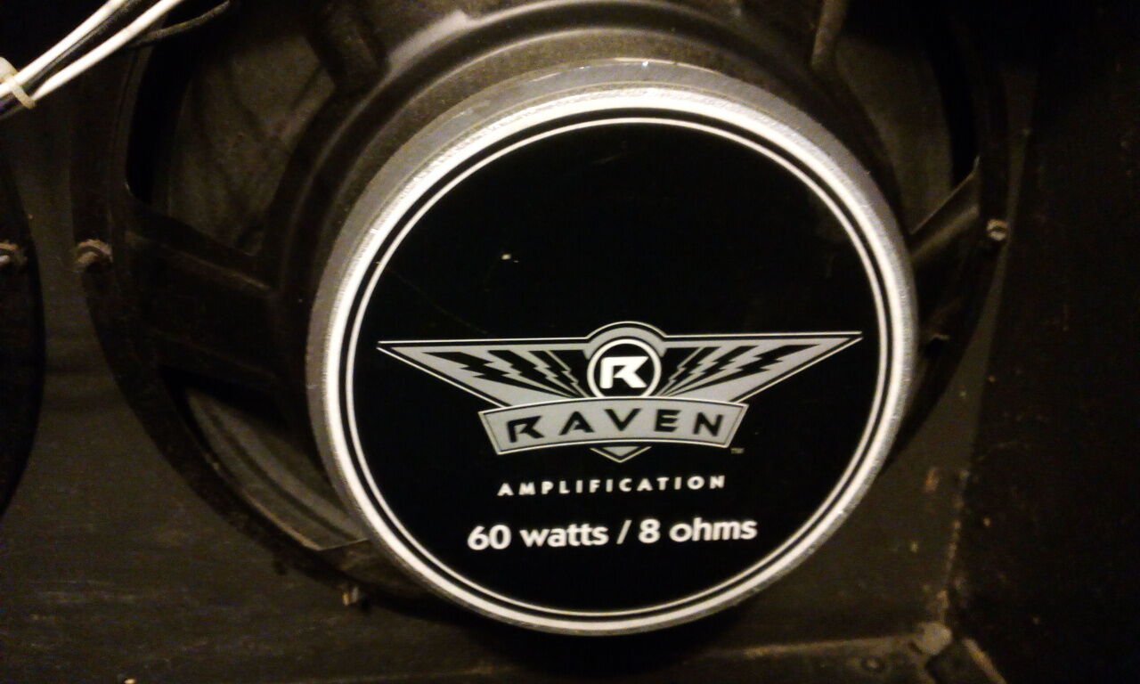 RAVEN RG100 WATT GUITAR AMPLIFIER.Pre-owned. Local pickup only.