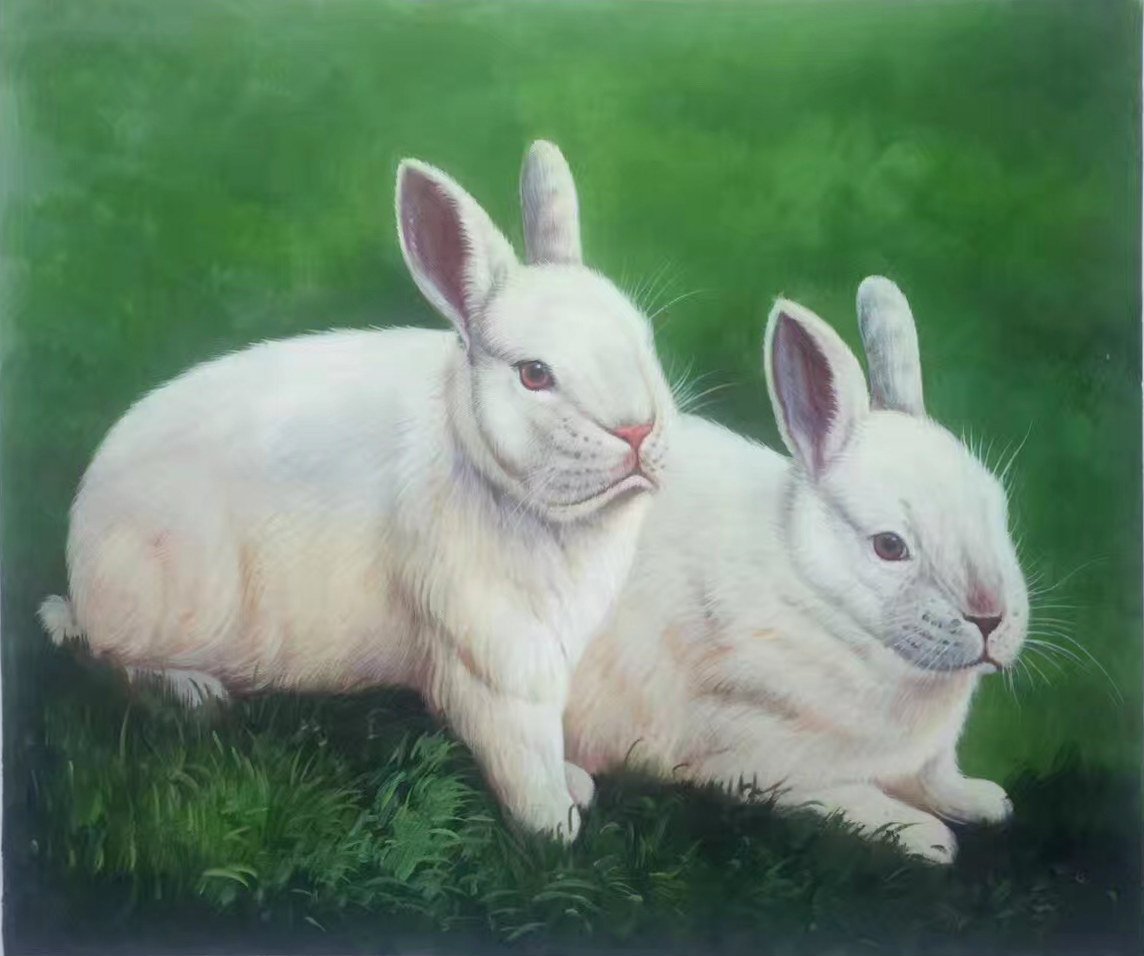 Simple modern Hand-painted oil painting on canvas"Cute rabbit"50x60CM ...