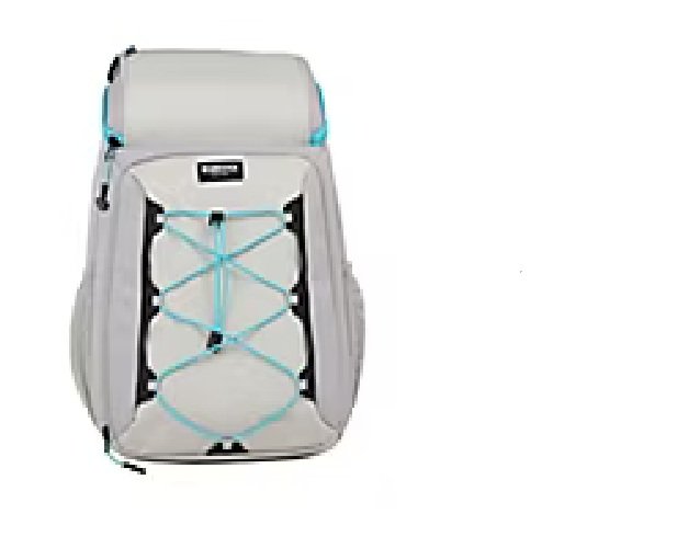 Igloo 30 Can Backpack With Bungee - Ash Gray/ Aqua Trim