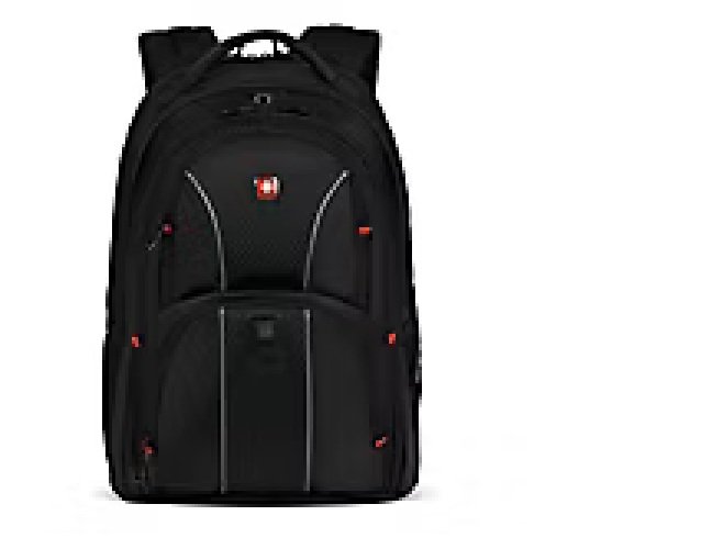 Swiss Gear Business Backpack