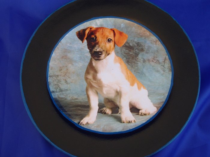 NEW - Jack Russell Decoupage Plate Limited Edition