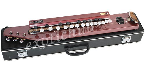 NEW BULBUL TARANG~ELECTRIC BANJO~BENJO~PALOMA BRAND~TOP QUALITY~GREAT SOUND