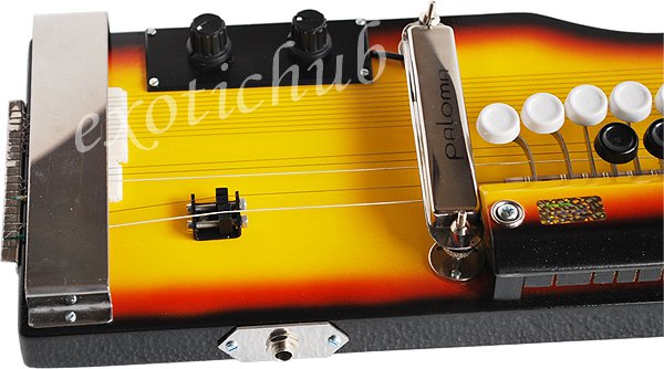 PALOMA SHAHI BAAJA~ELECTRIC BANJO WITH SWARMANDAL~BULBUL TARANG~DULCI MER