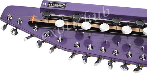 SHAHI BAAJA~ELECTRIC BANJO~BULBUL TARANG WITH SWARMANDAL~PALOMA BRAND-