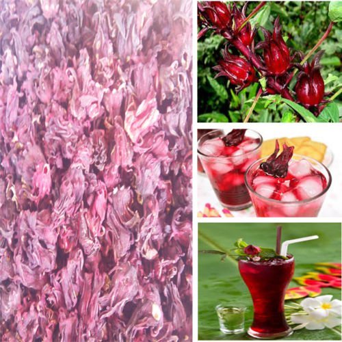 Thai Herb Dried Flower Roselle Hibiscus Sabdariffa Tea Drink Natural Health