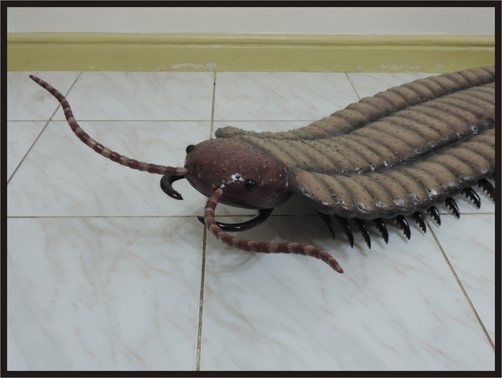 Custom Made Life Size Anthropleura Prehistoric Giant Centipede Pre ...