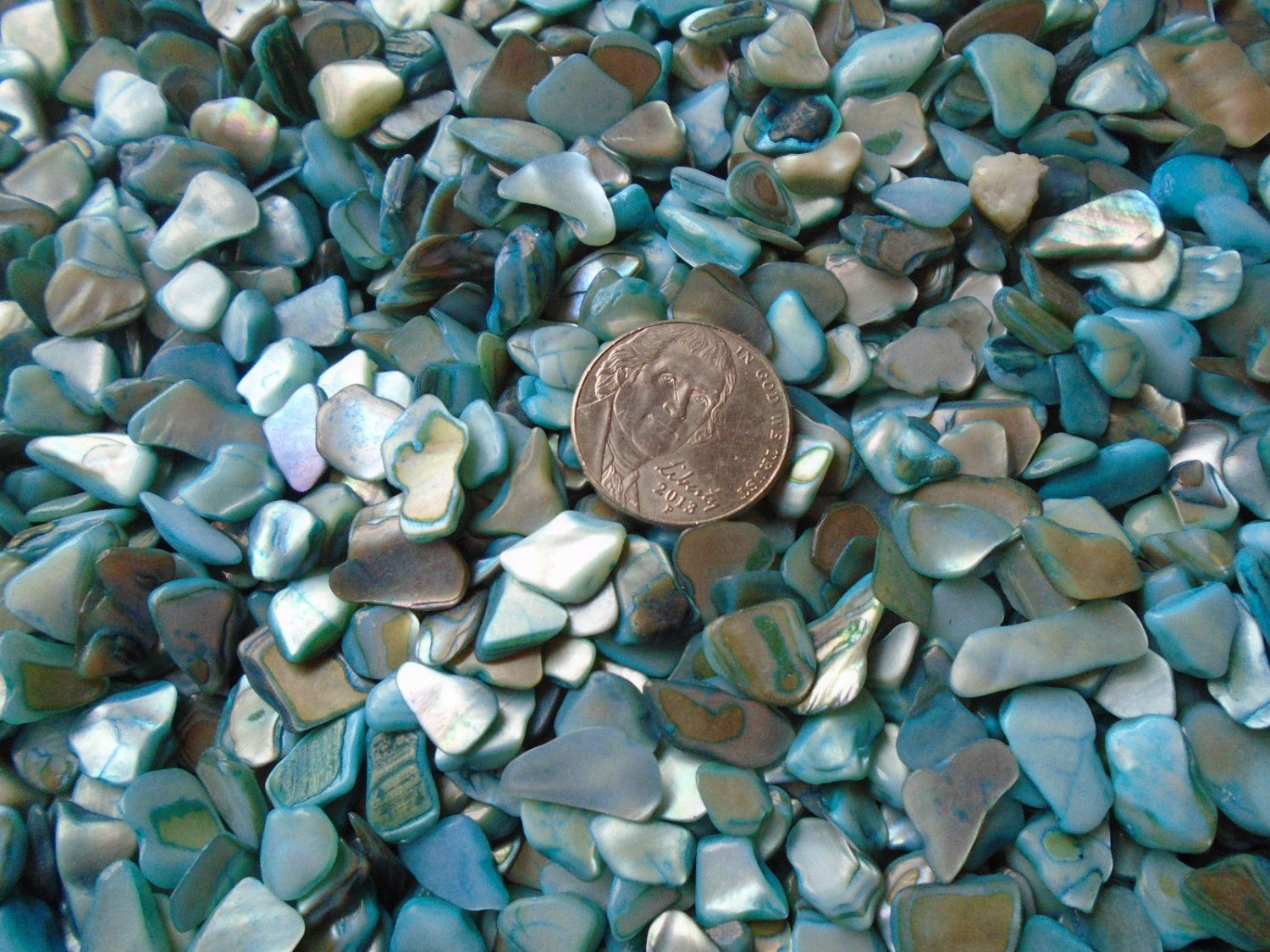 3oz Teal Green Blue Crushed Seashells Crafts Vase Filler Aquarium ...