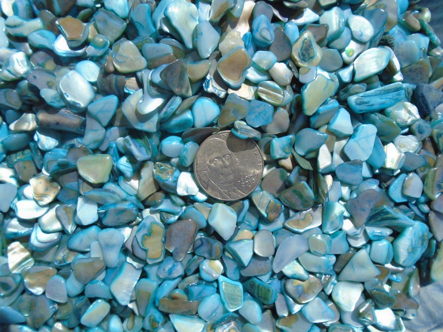3oz Teal Green Blue Crushed Seashells Crafts Vase Filler Aquarium ...