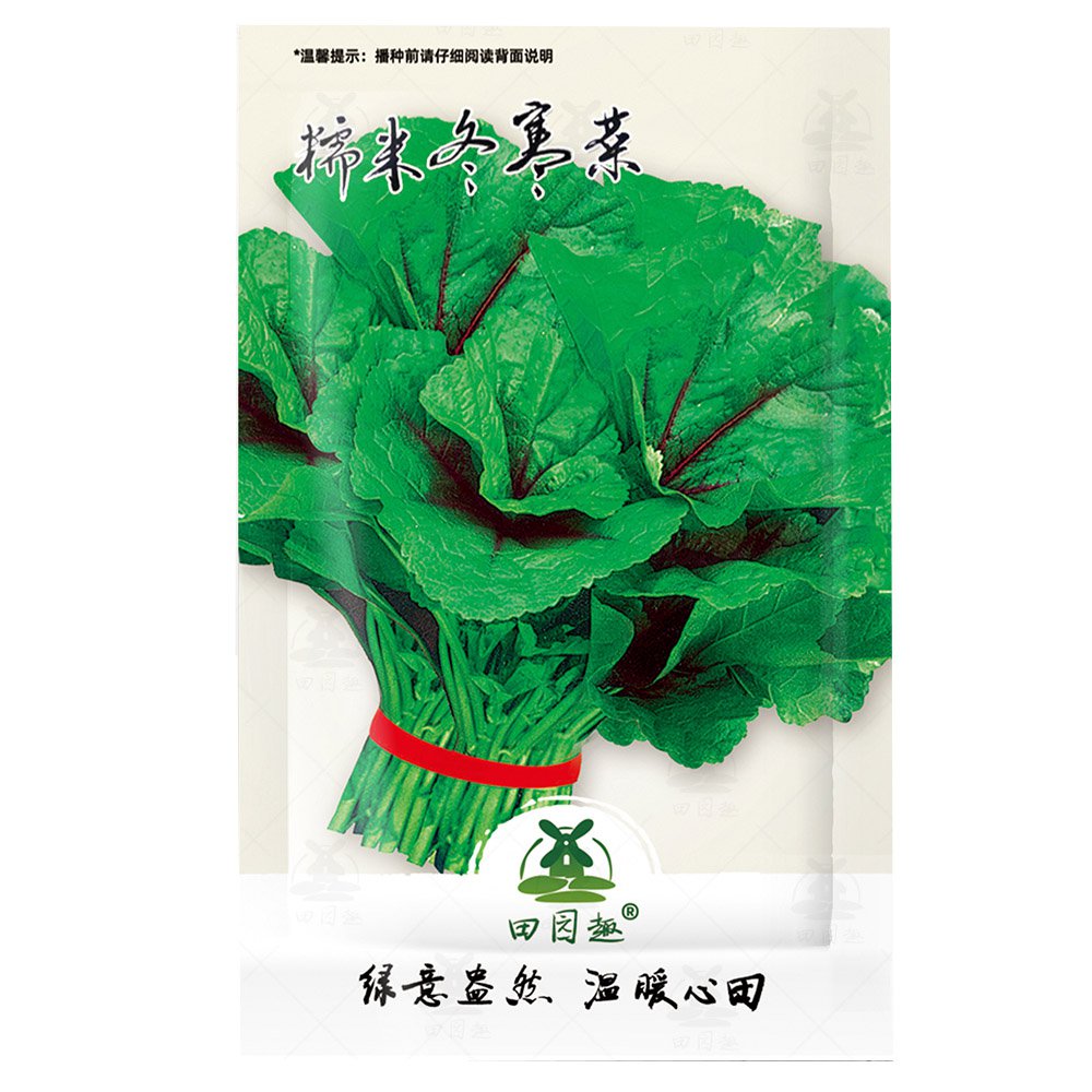FRESH 1000 RARE ANCIENT Chinese Mallow seeds, Chinese winter amaranth