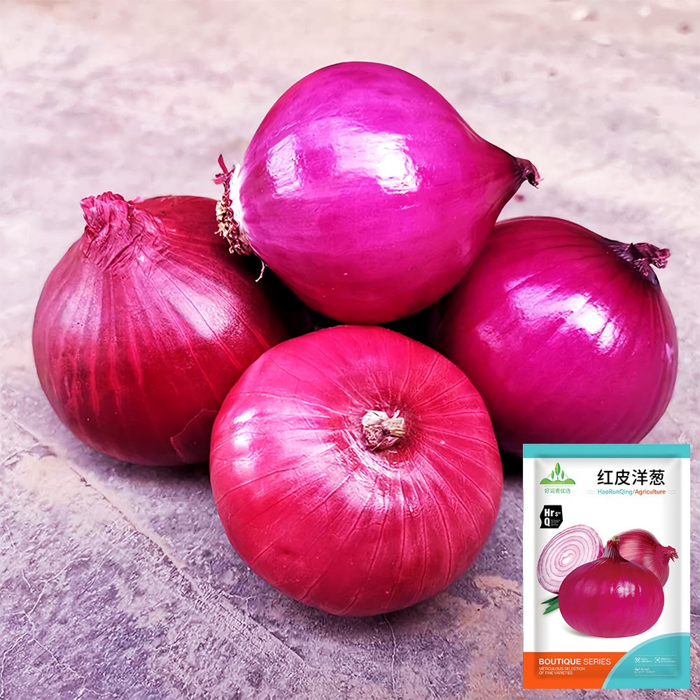 FRESH 500 Premium Red Onion Seeds - Purple Skin Variety