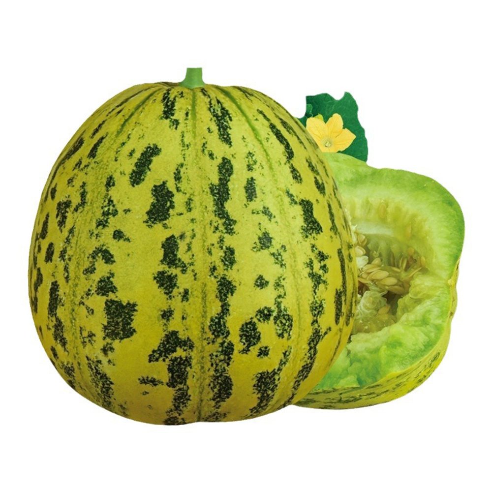 FRESH 5 Bags (50 Seeds / Bag) of 'Flower Fairy' Melon Seeds, Hybrid F1 ...