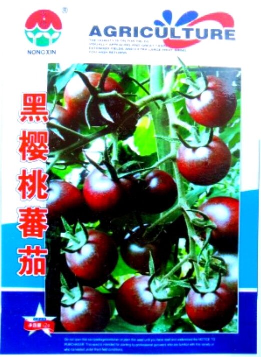 FRESH Harbin Black Cherry Tomato Seeds, Original Pack, 300 Seeds / Pack ...