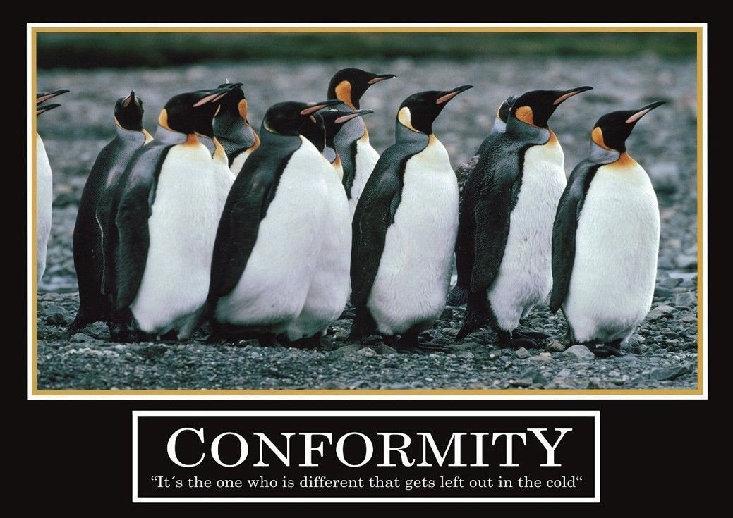 Penguins Leadership Motivational Wall Print POSTER Decor 32x24