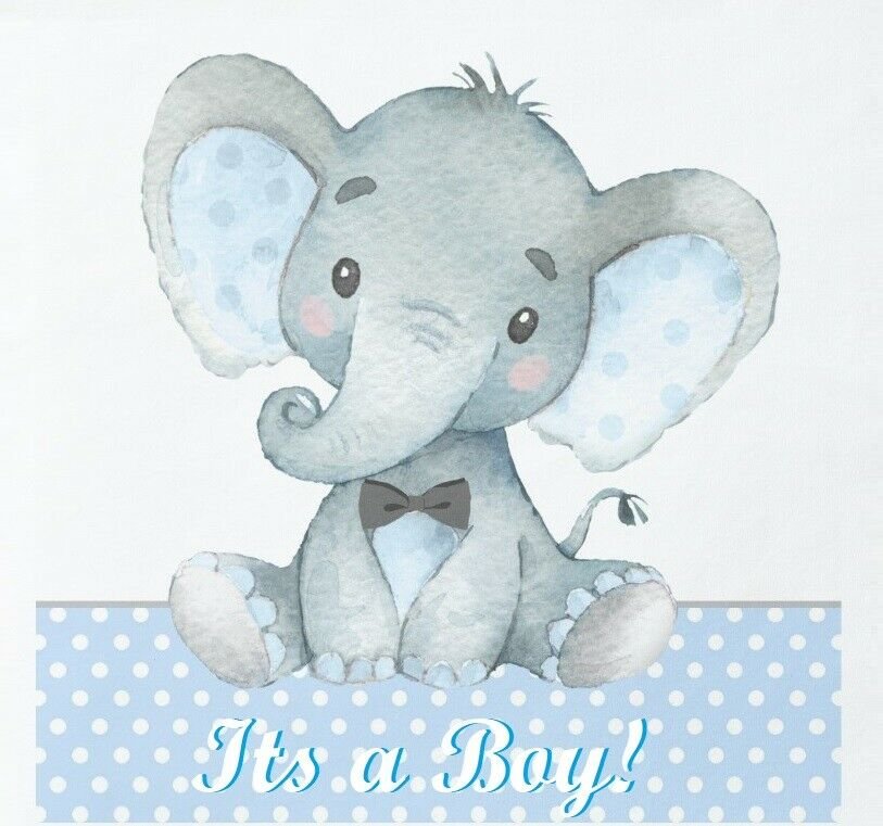 Baby Elephant Boy Baby Shower Edible Cake topper decoration