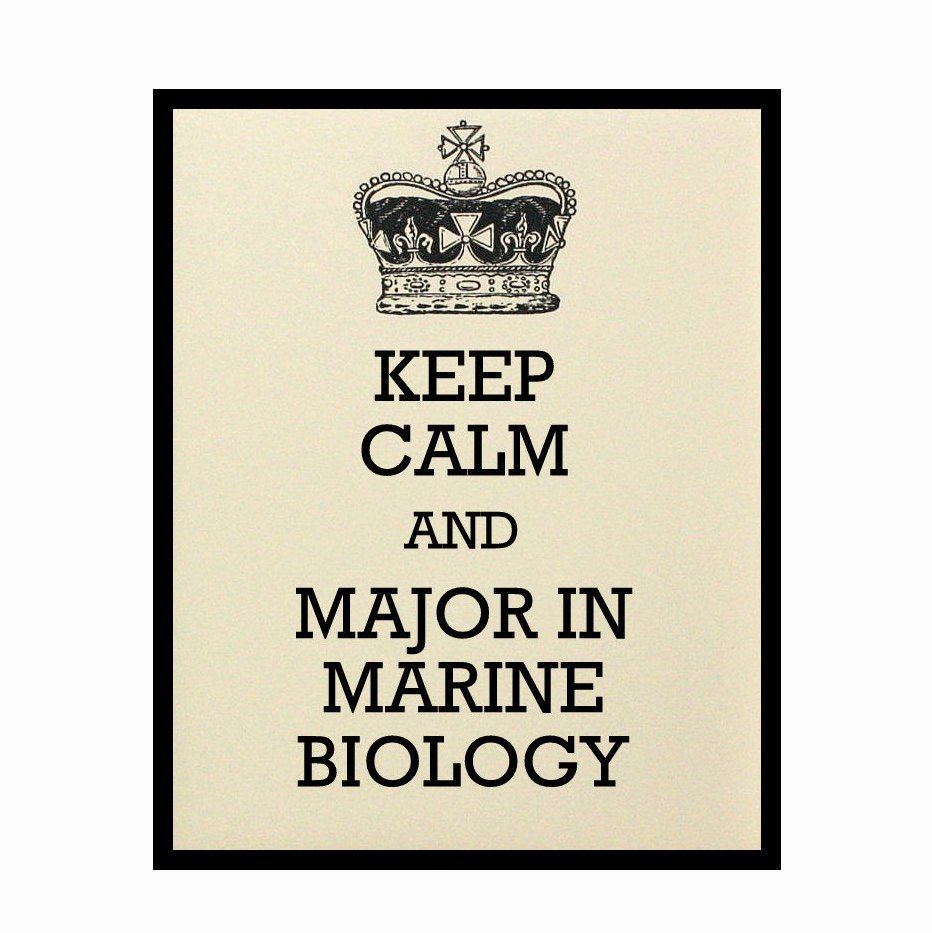 Keep Calm and Major in Marine Biology, 8 x 10 Inches, Art Print, French ...