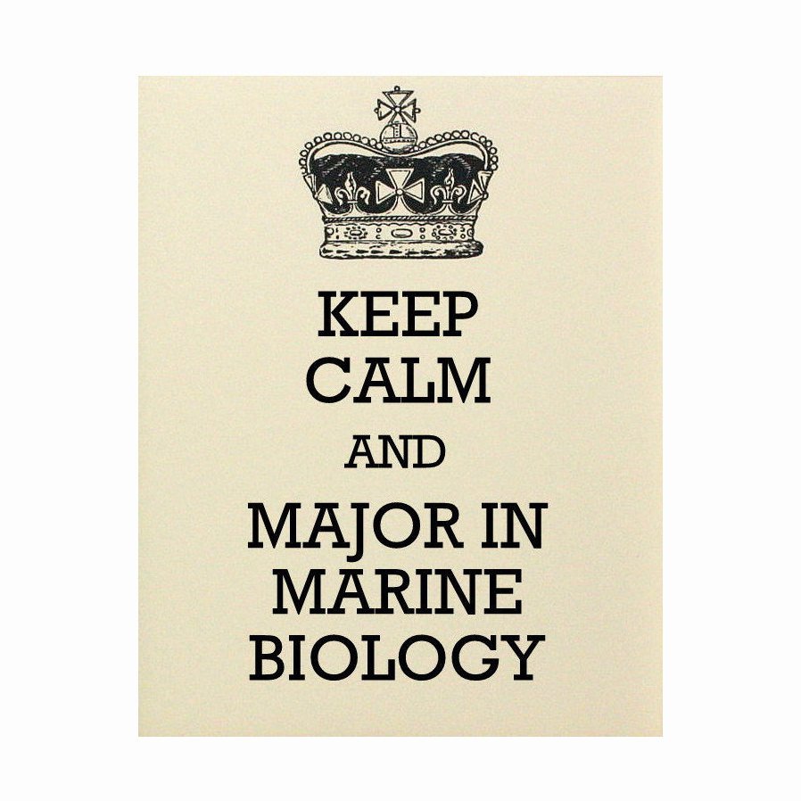 Keep Calm and Major in Marine Biology, 8 x 10 Inches, Art Print, French ...