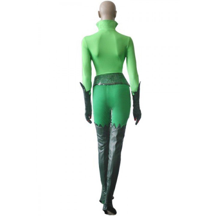 Batman and Robin Poison Ivy Cosplay Costume Custom made