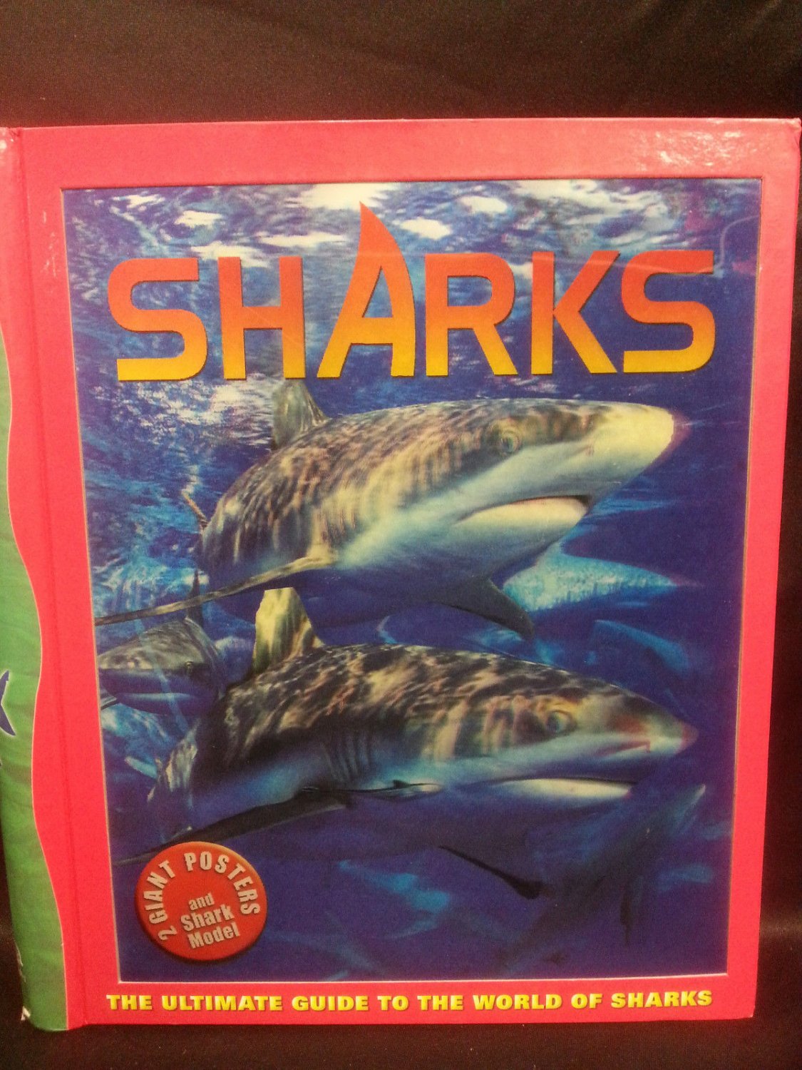 SHARKS! ULTIMATE GUIDE To the World of Sharks with Model & Posters!