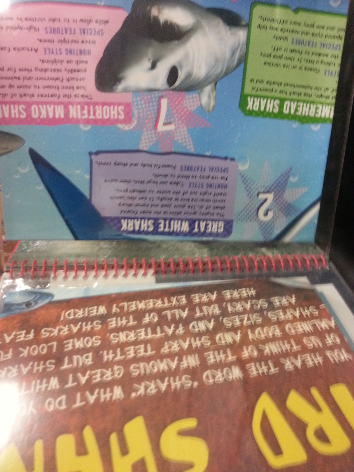 SHARKS! ULTIMATE GUIDE To the World of Sharks with Model & Posters!